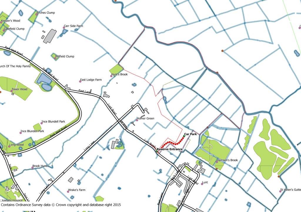 Lunt Meadows | The Wildlife Trust for Lancashire Manchester and North ...