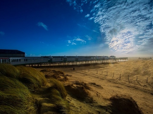 Fylde Sand Dunes Project | The Wildlife Trust for Lancashire Manchester ...