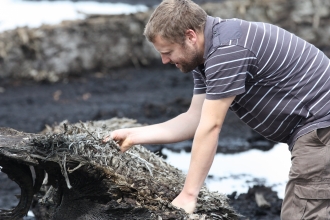 Chat Moss Project | The Wildlife Trust for Lancashire, Manchester and ...