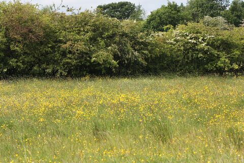 Cutacre | The Wildlife Trust for Lancashire, Manchester and North ...