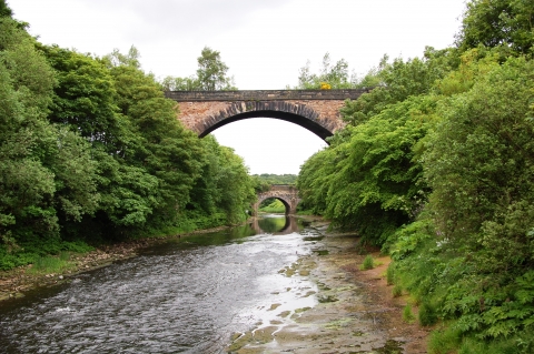 Waterdale and Drinkwater Park | The Wildlife Trust for Lancashire ...