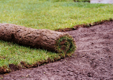 Turf production: peat extraction by stealth | The Wildlife Trust for ...