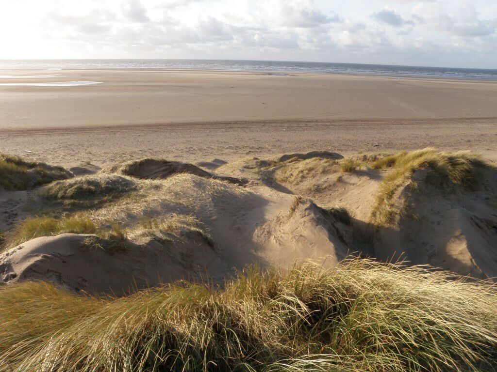 Fylde Sand Dunes Project | The Wildlife Trust for Lancashire ...