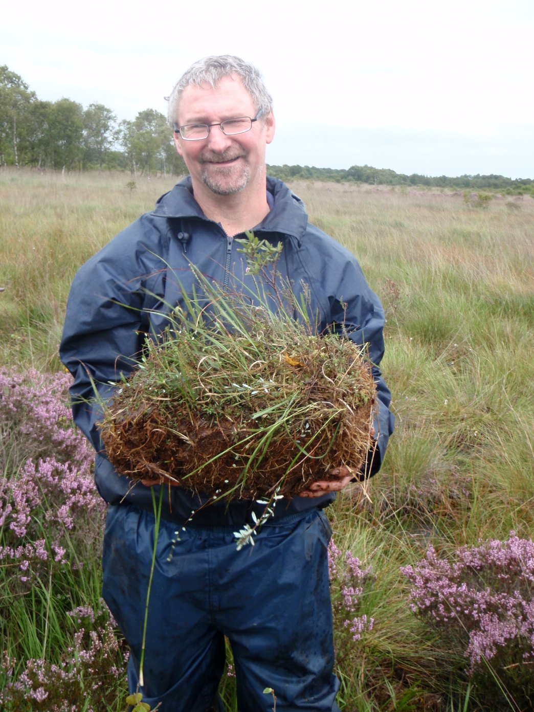 Chat Moss Project | The Wildlife Trust for Lancashire Manchester and ...