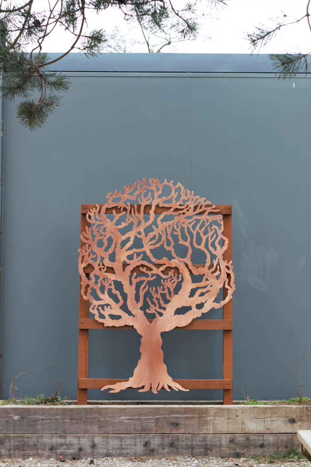 Memory Tree | The Wildlife Trust for Lancashire Manchester and North ...