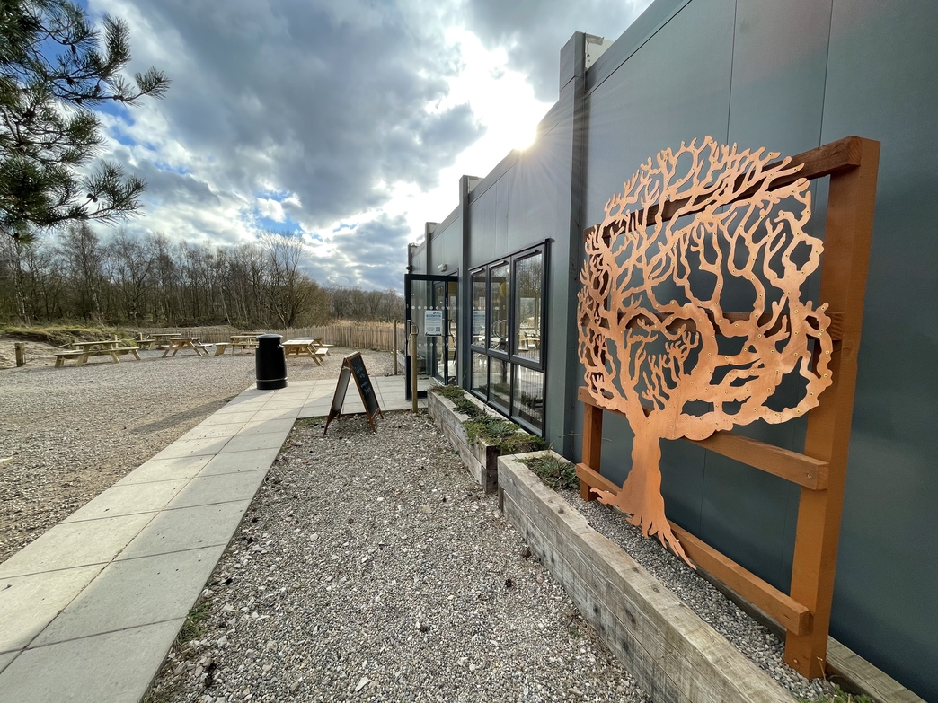 Memory Tree | The Wildlife Trust for Lancashire Manchester and North ...