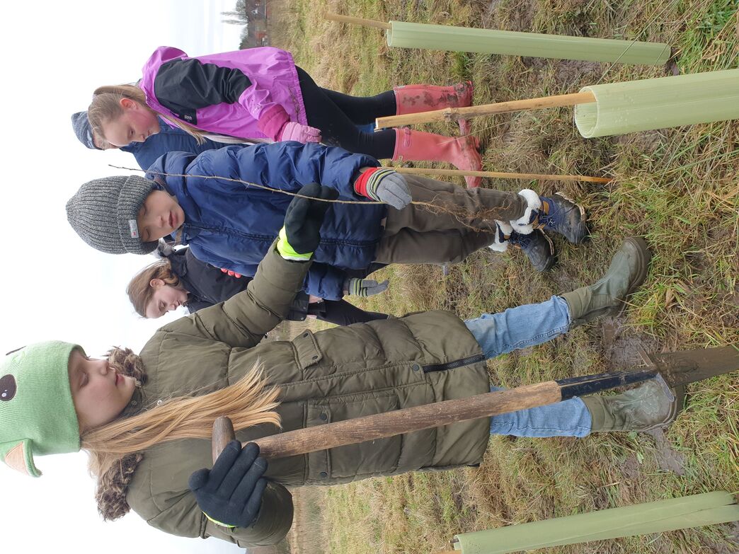 A new hedge for Cutacre - with a little help from our friends | The ...