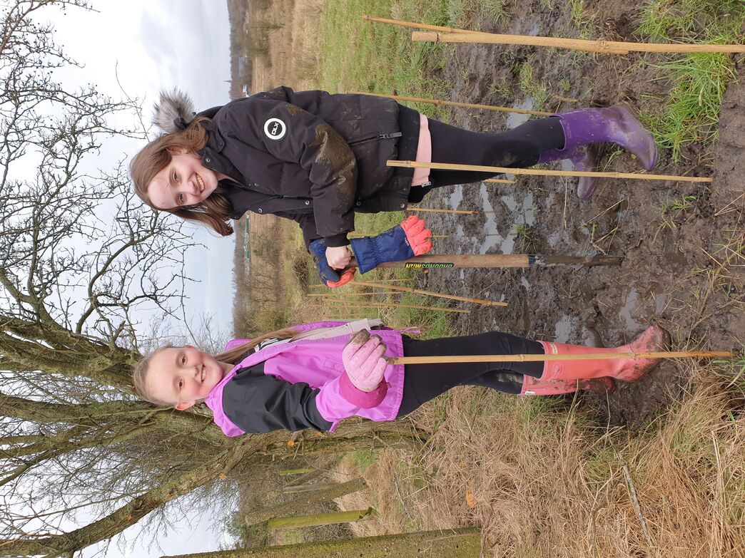 A new hedge for Cutacre - with a little help from our friends | The ...
