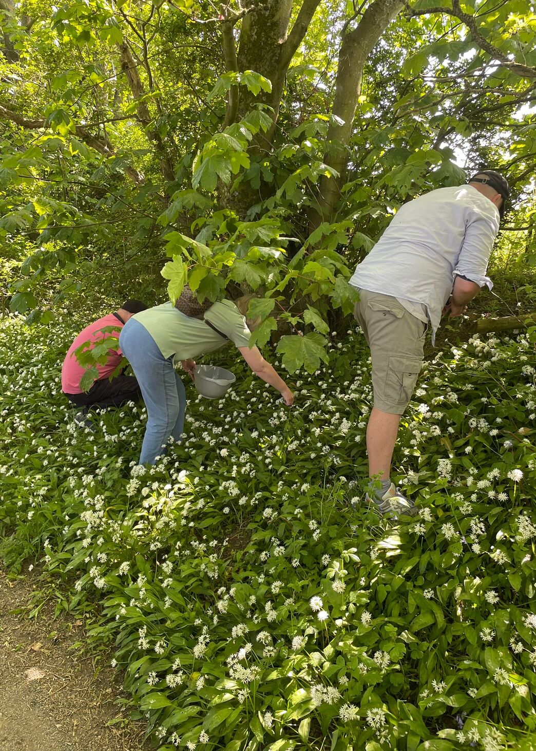 The power and importance of community...and nature! | The Wildlife ...