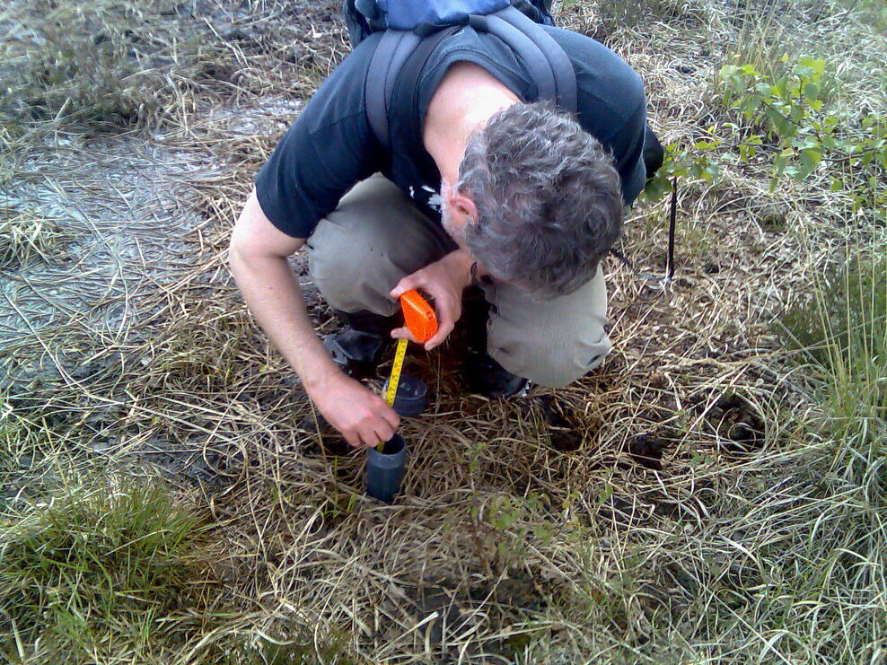 Chat Moss Project | The Wildlife Trust for Lancashire Manchester and ...
