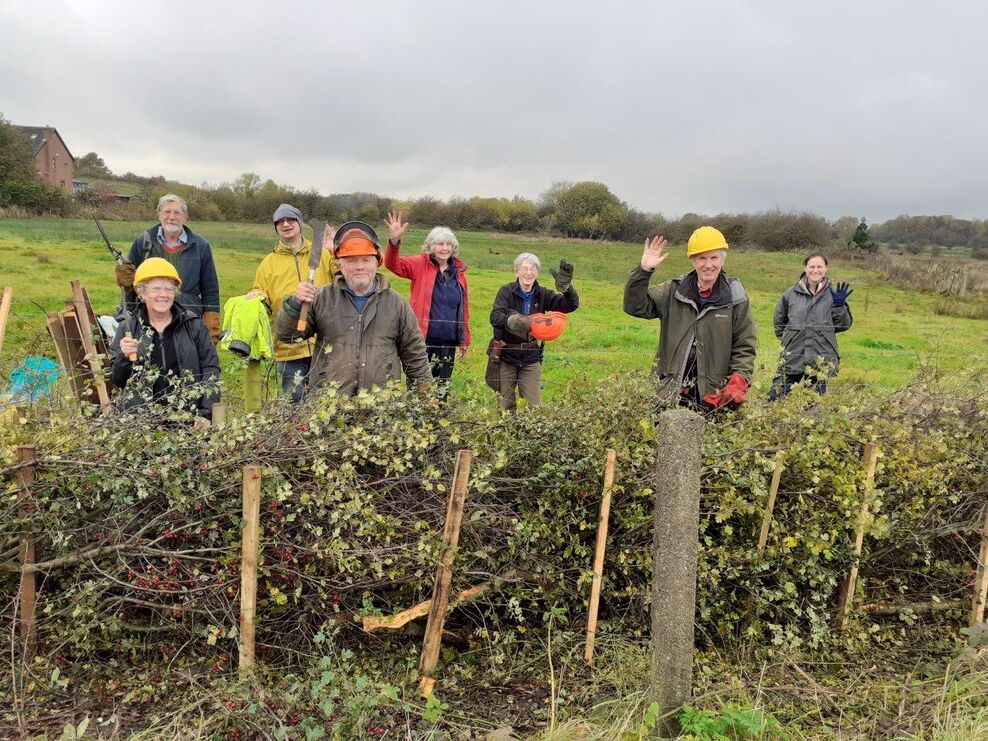 Newt beginning for nature reserve | The Wildlife Trust for Lancashire ...