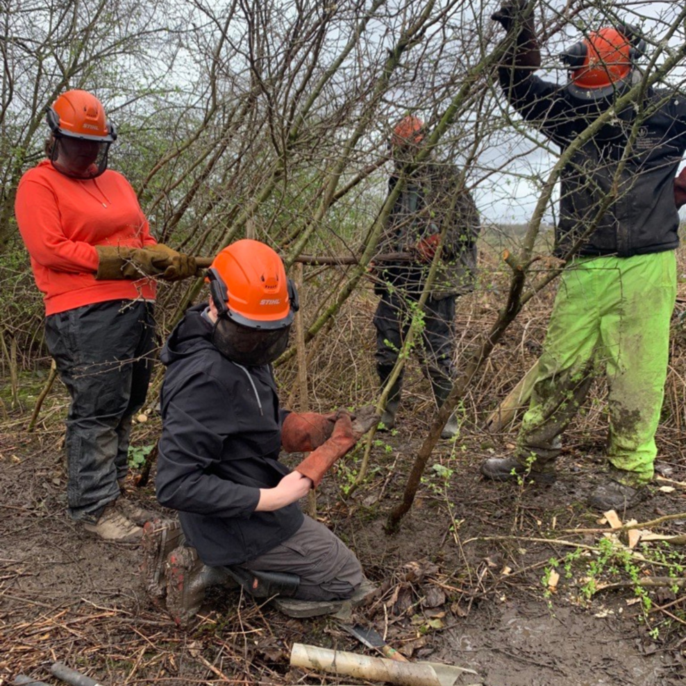 Biodiversity Net Gain | The Wildlife Trust for Lancashire Manchester ...