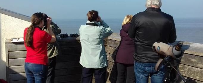 Let’s celebrate National Marine Week! | The Wildlife Trust for ...
