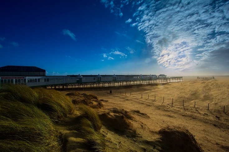 Fylde Sand Dunes Project | The Wildlife Trust for Lancashire ...