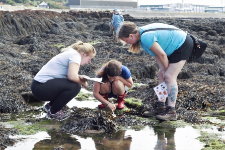 Let’s celebrate National Marine Week! | The Wildlife Trust for ...