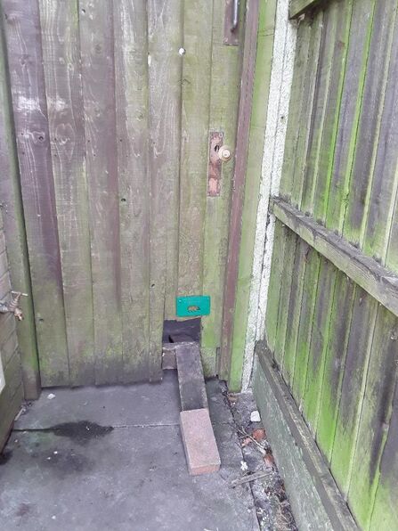 Designing a garden for wildlife in Withington | The Wildlife Trust for ...