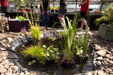The Greenhouse Project: Autumn | The Wildlife Trust for Lancashire ...