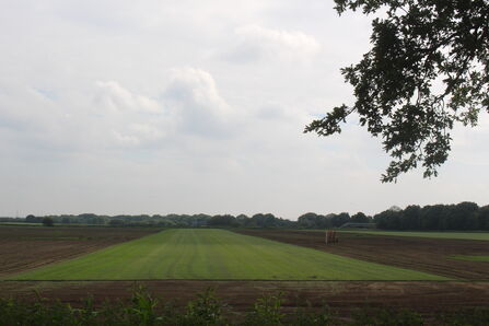 Turf production: peat extraction by stealth | The Wildlife Trust for ...
